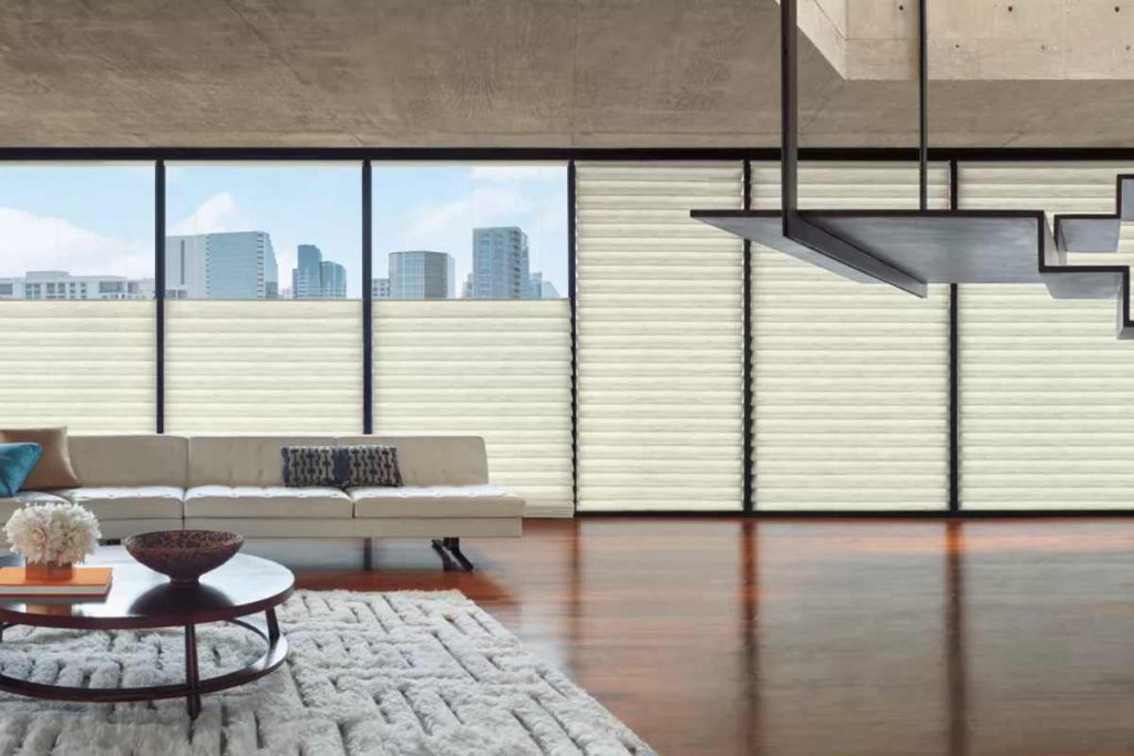 Hunter Douglas Vignette® Modern Roman Shades | The Blind Guy Helena